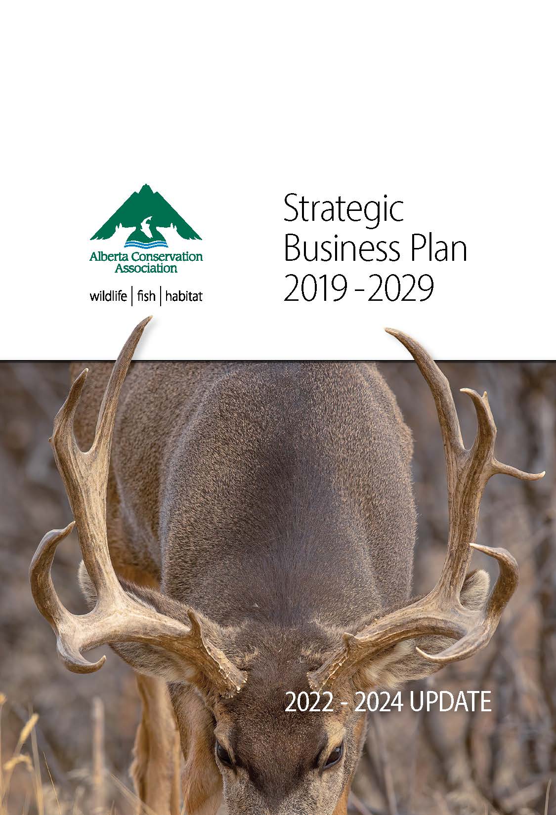 Strategic Business Plan - ACA